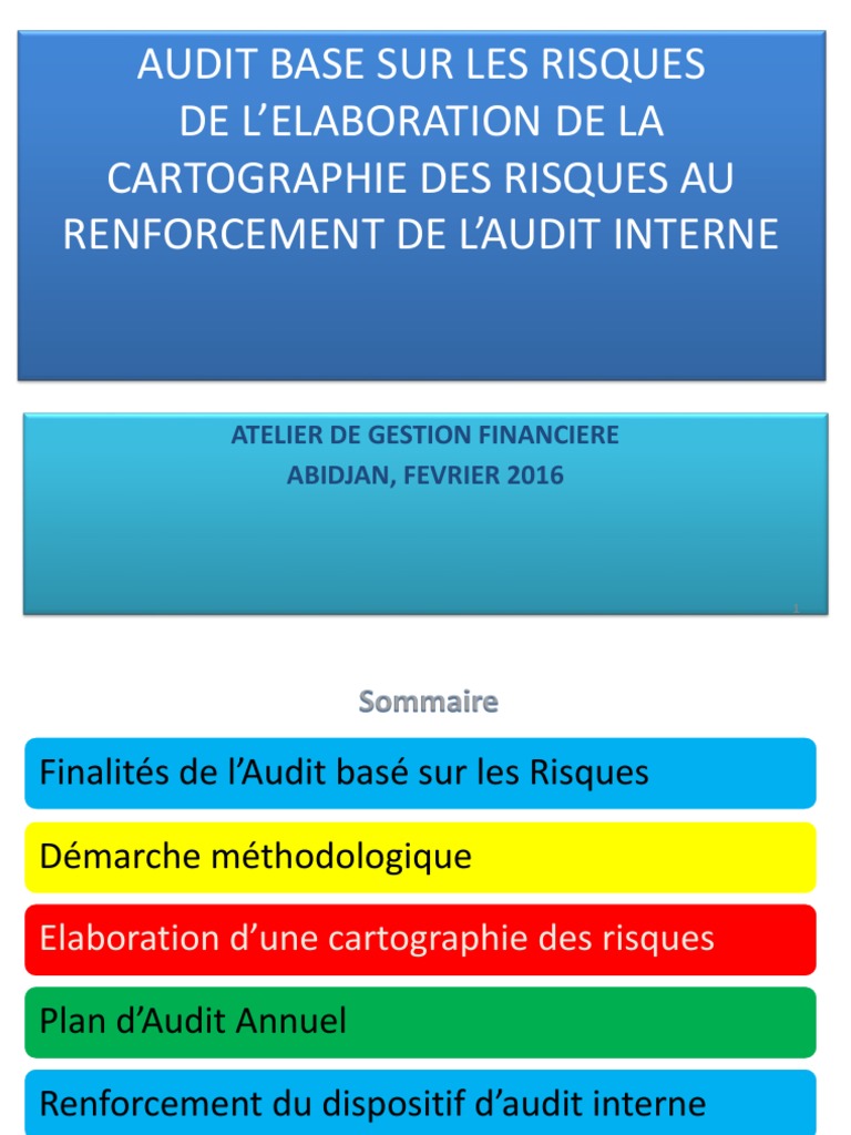 FM-Cartographie Des Risques | PDF | Audit | Risque