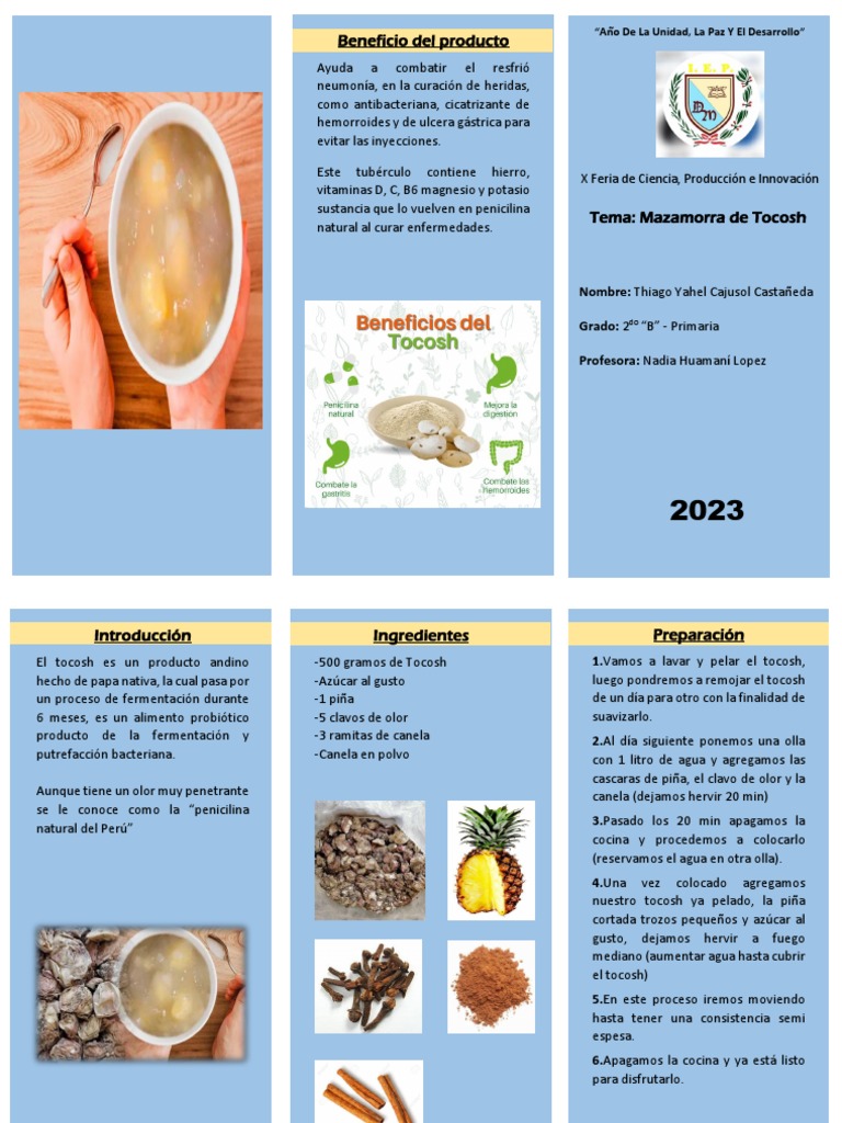 Triptico Tocosh | PDF | Comida y bebida | Alimentos