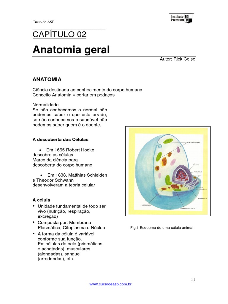 Anatomia Humana: Estruturas e Funções | PDF | Pressão sanguínea | Corpo ...