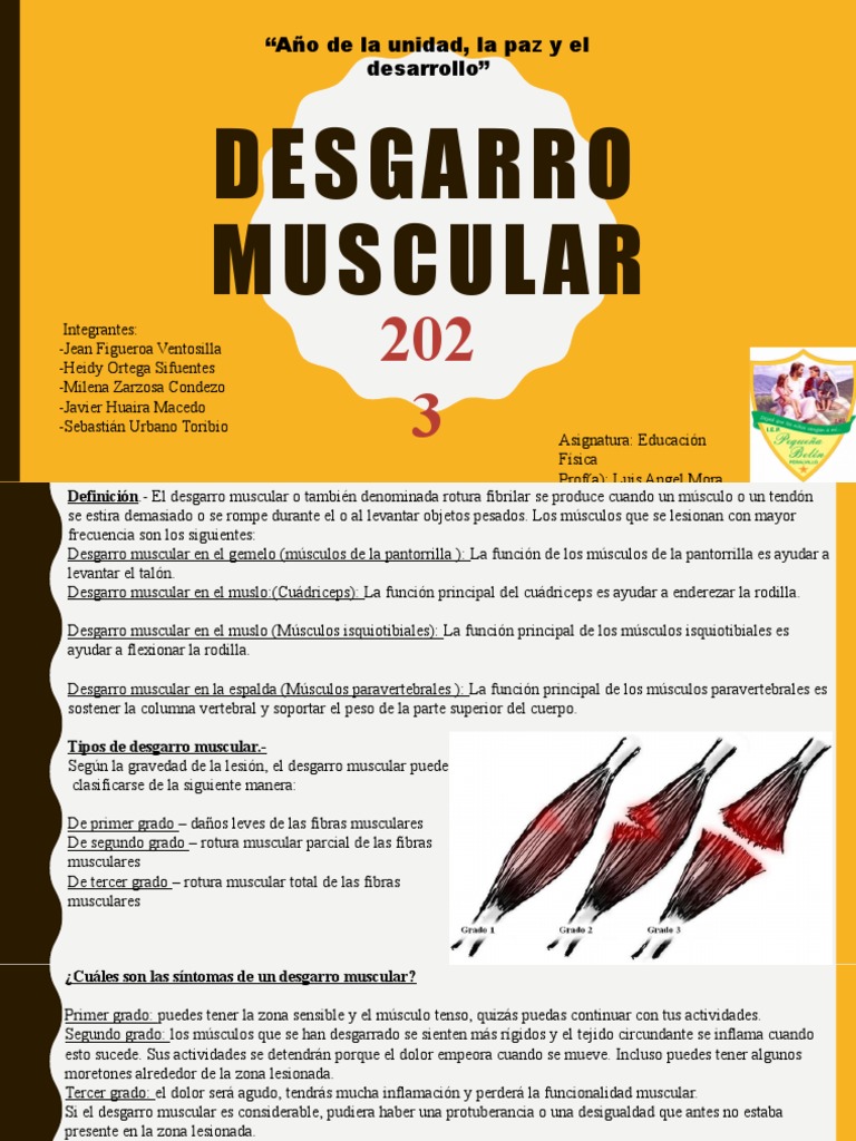 Desgarro Muscular | PDF | Músculo esquelético | Rodilla