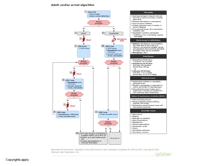 Adult_cardiac_arrest_algorithm | PDF