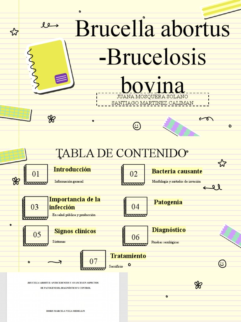 Brucella abortus | PDF