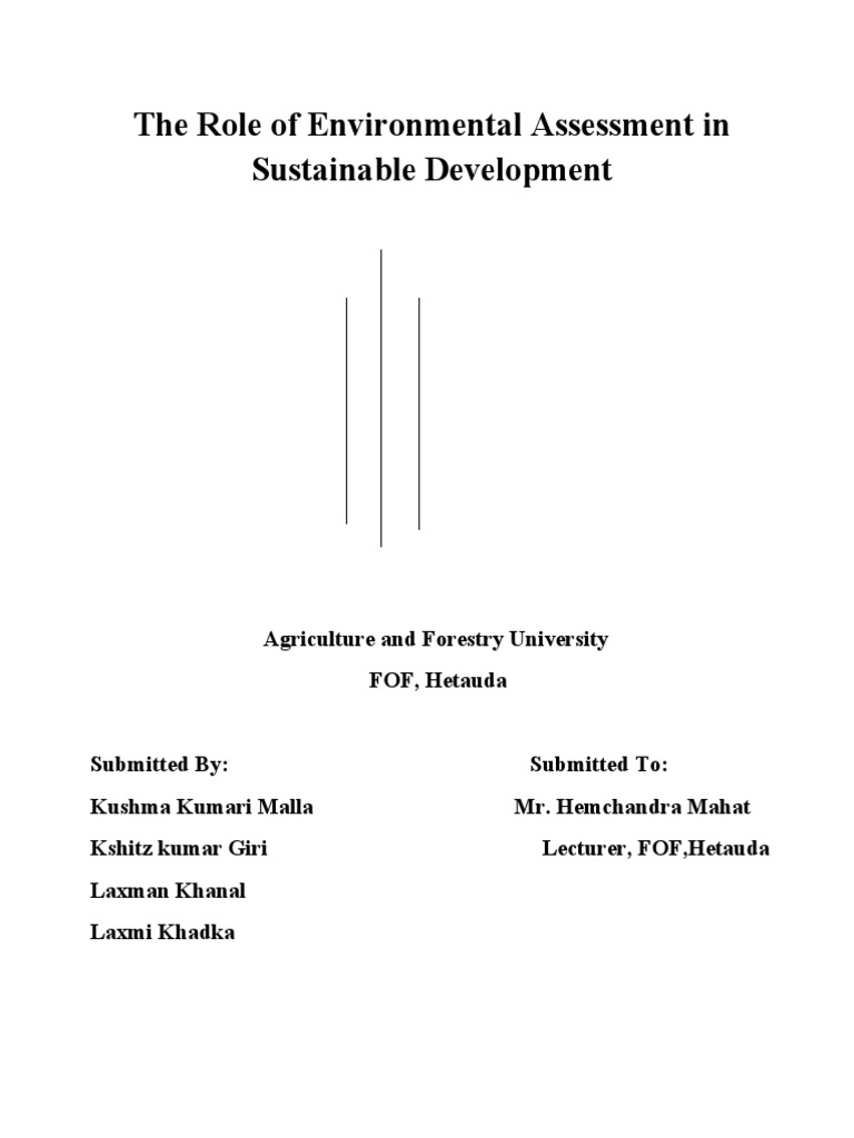 Final report_Enviromental | PDF | Environmental Impact Assessment ...