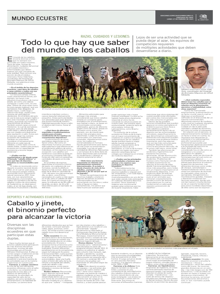 Mundo Ecuestre | PDF | Ecuestre | Concurso hípico