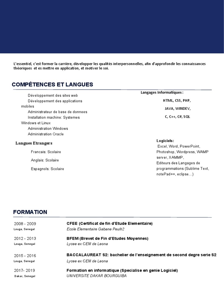 Babs CV | PDF | Informatique | Logiciel