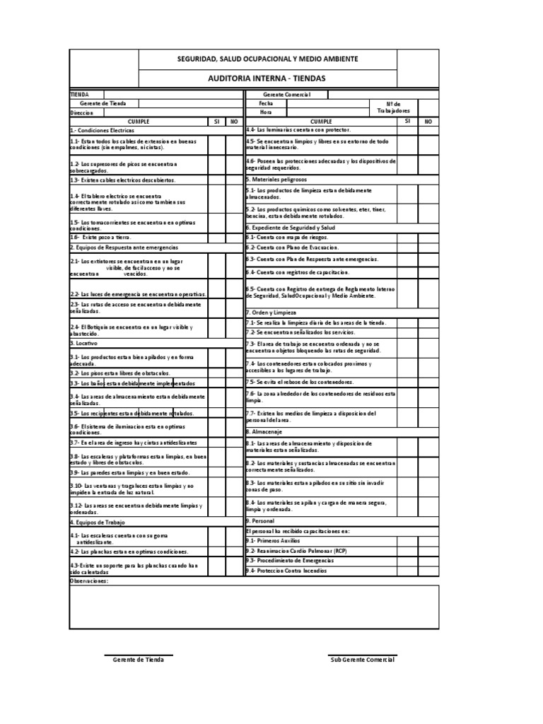 Formato de Inspeccion general | PDF | La seguridad