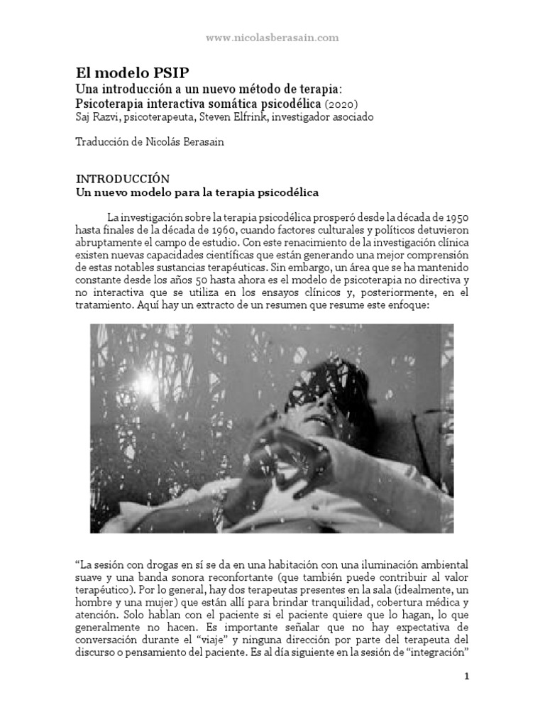 Razvi & Elfrink - El Modelo PSIP | PDF | Psicoterapia | Terapia de conducta cognitiva