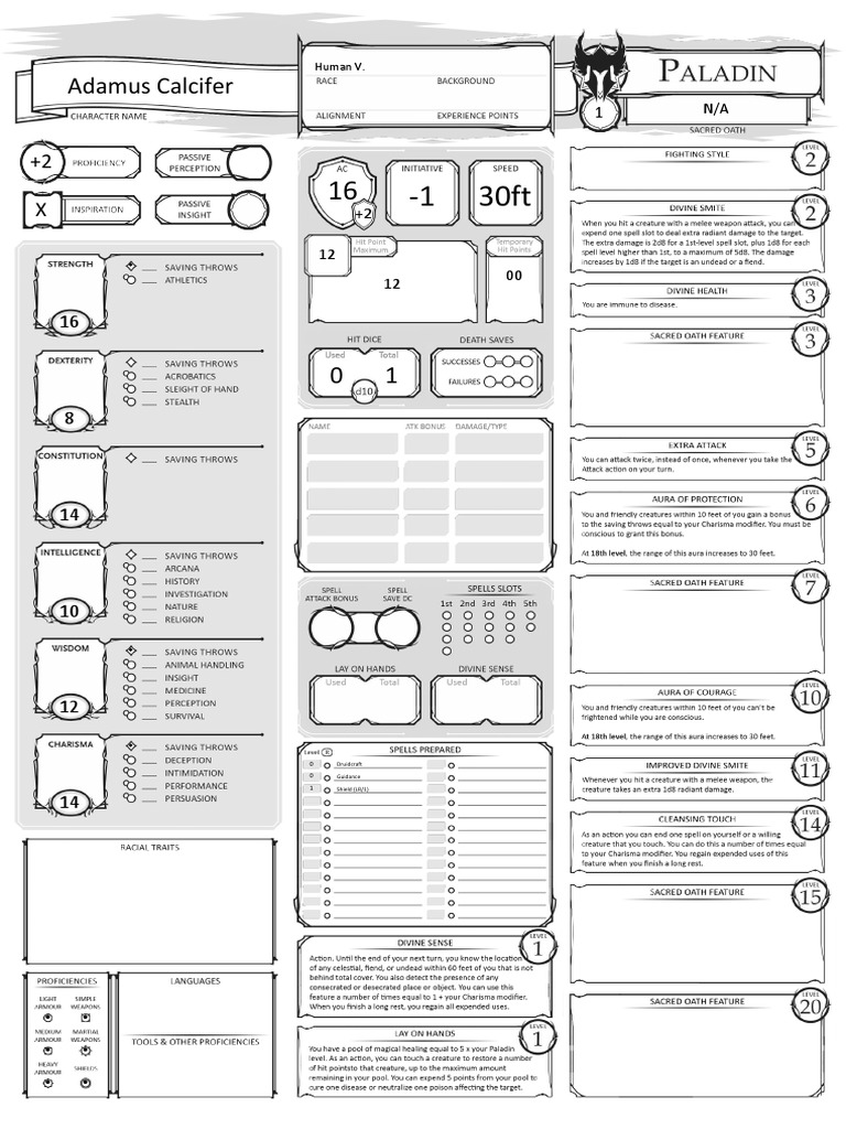 456029-Class Character Sheet Paladin V1.2 Fillable | PDF