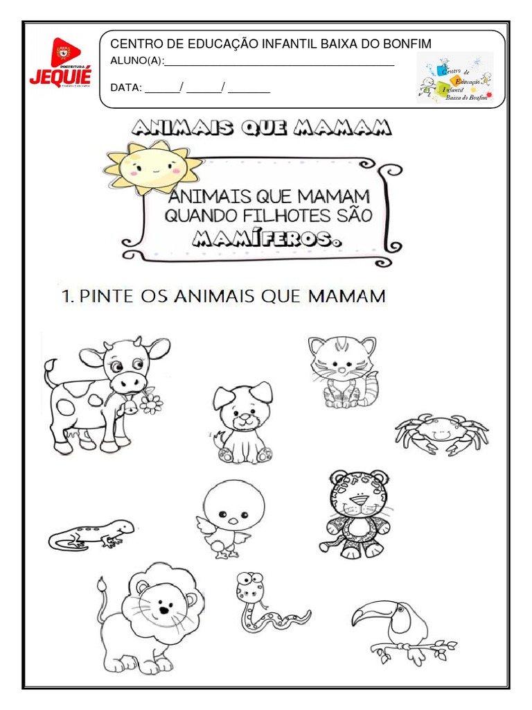 ATIVIDADE Animais Mamíferos | PDF