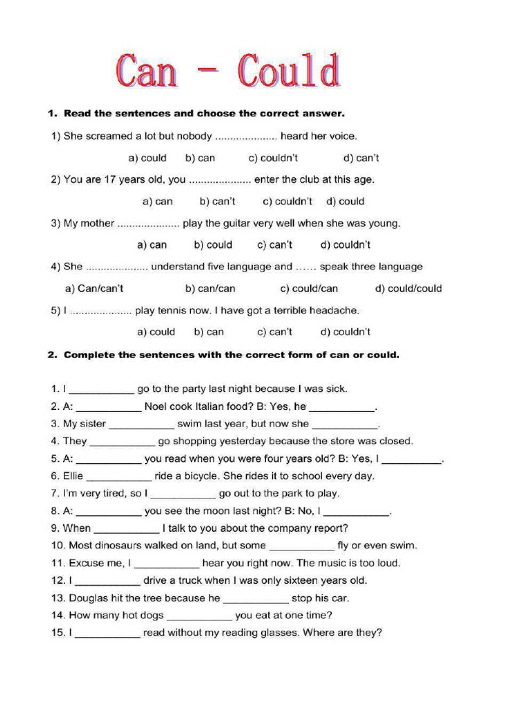 Can Could Pdf