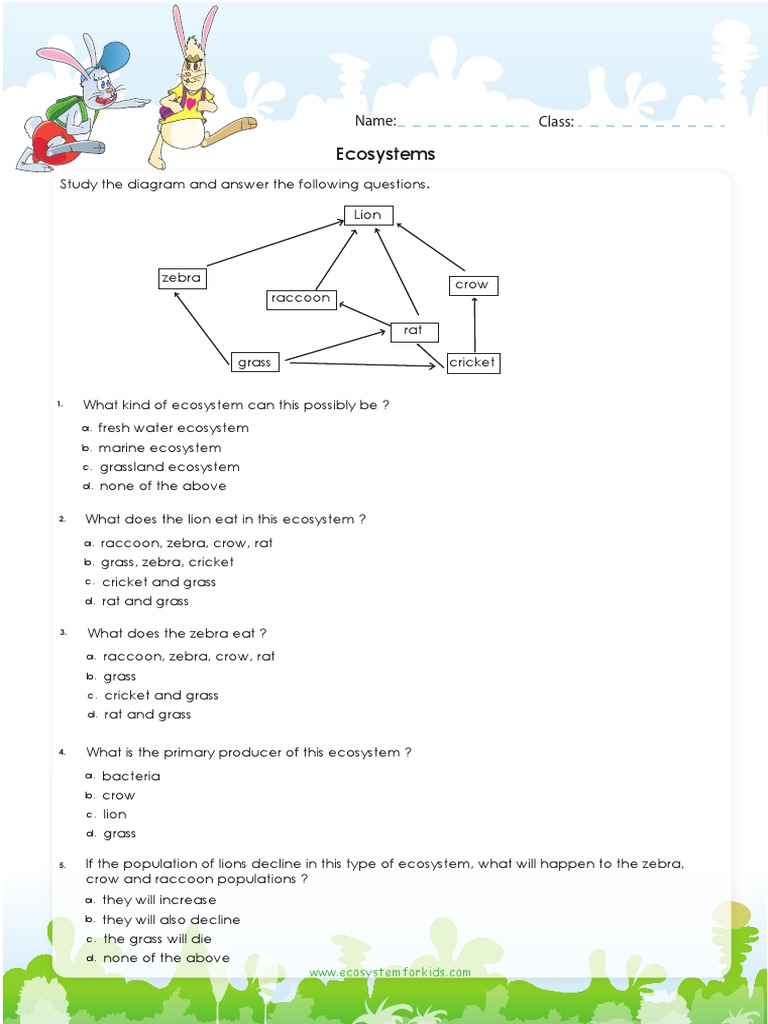 Ecosystem and Relationships | PDF