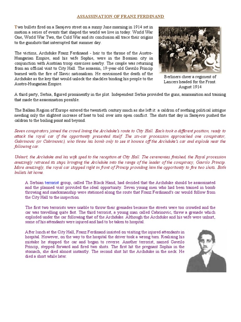 WW1 Causes - Trench Activity | PDF WW1 Causes - Trench Activity | PDF