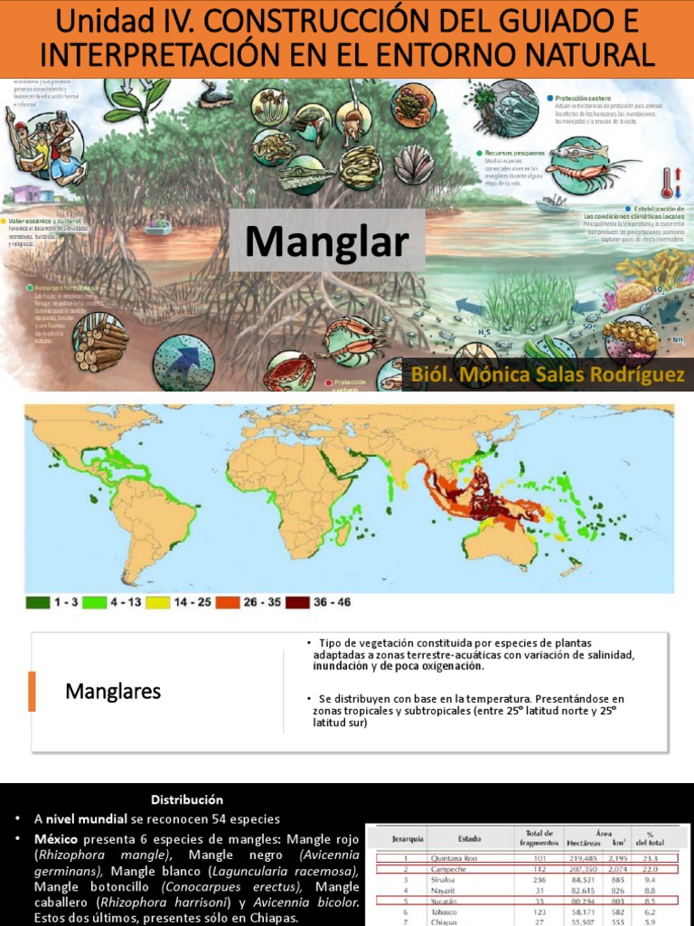 Manglar | PDF | Mangle | Organismos