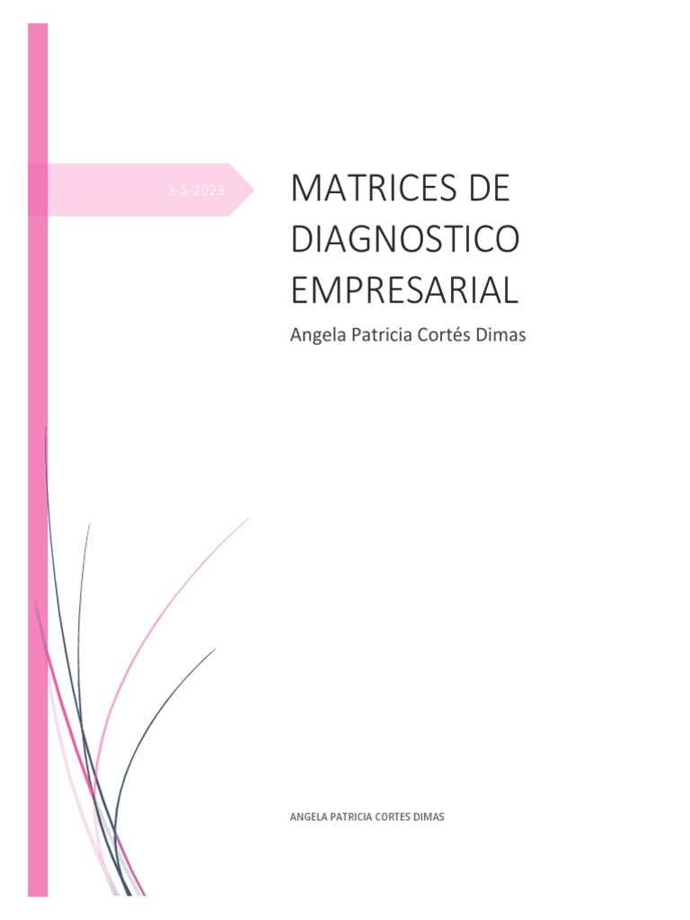Matriz de Diagnostico | PDF | Producto (Negocio) | Mercado (economía)