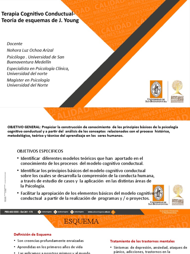 Teoría de Esquemas en Psicología | PDF | Sicología | Esquema (psicología)