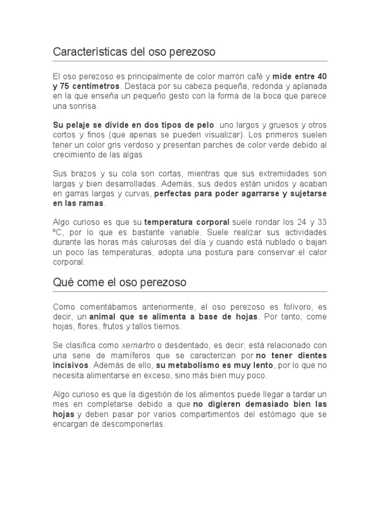 Características del oso perezoso | PDF | Osos | Organismos
