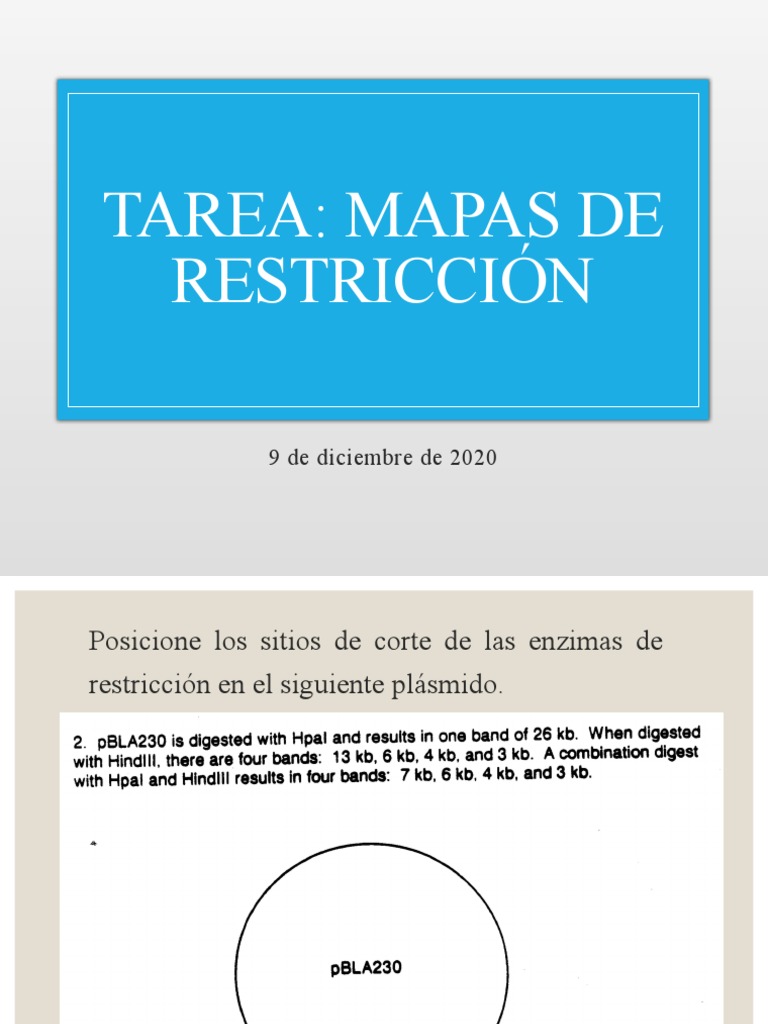 9dic20 Tarea Mapas de Restriccion y Enzimas | PDF