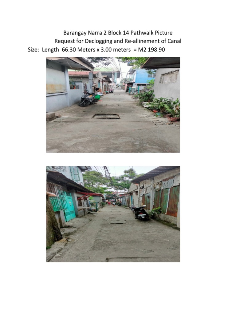 Barangay Narra 2 Block 14 Pathwalk Picture | PDF