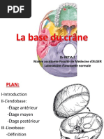 Anatomie et Fractures du Rocher | PDF | Tête et cou chez l'humain ...