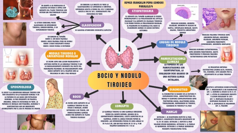 Mapa Mental Bocio y Nodulo Tiroideo | PDF | Tiroides | Enfermedades y ... Mapa Mental Bocio y Nodulo Tiroideo | PDF | Tiroides | Enfermedades y ...