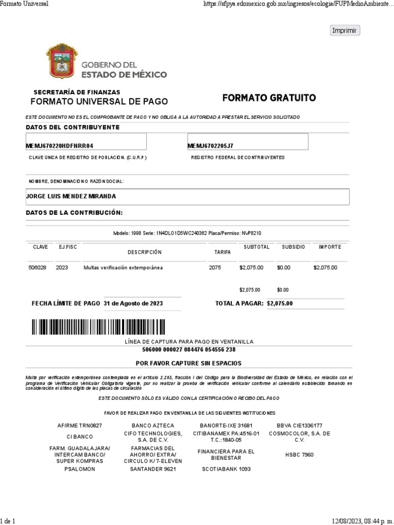 Pago Multa Verificacion | PDF
