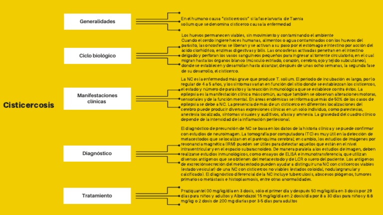 Cisticercosis: Causas, Diagnóstico y Tratamiento | PDF | Relaciones ...