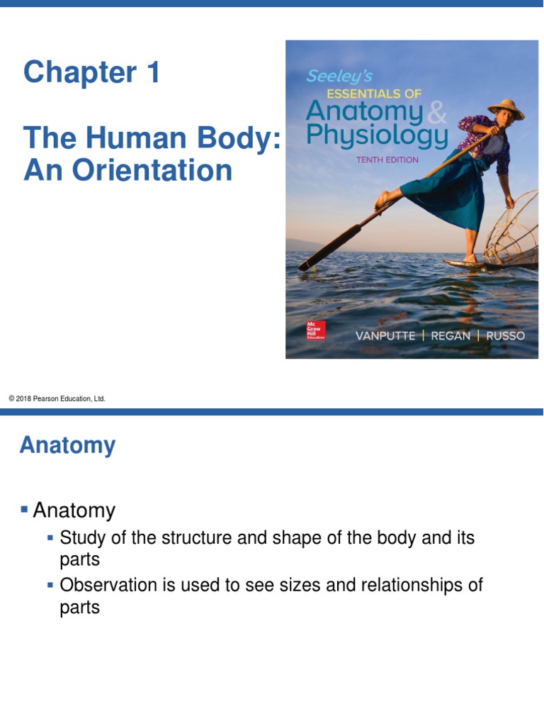 Chapter 1 An Orientation | PDF