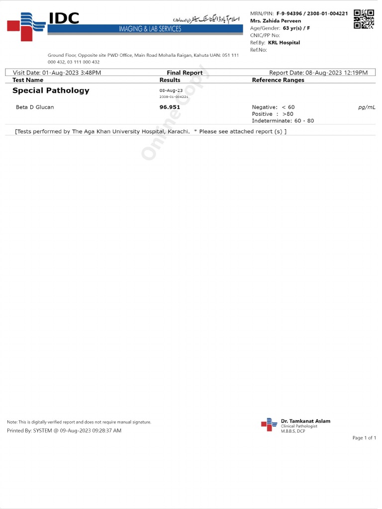 Patient Report PDF | PDF