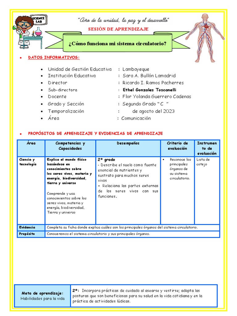 2º E6 S2 Sesion D3 CT Como Funciona El Sistema Circulatorio | PDF