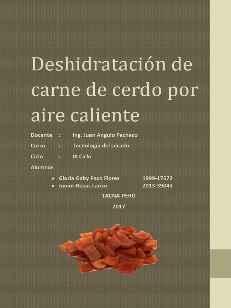 Secado de Carne de Cerdo SECADO | PDF | Humedad | Carne