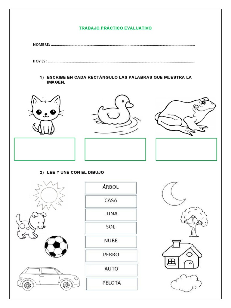 Trabajo Práctico Evaluativo - Primer Grado | PDF