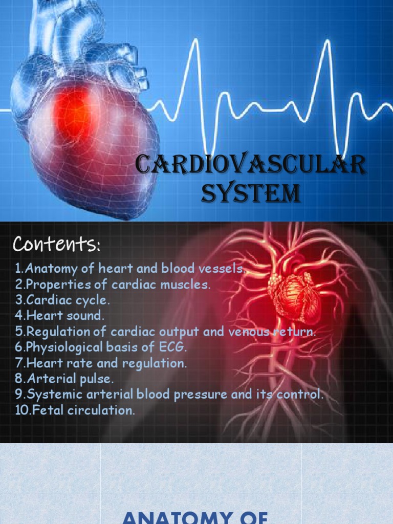 Cardiovascular System | PDF | Science & Mathematics