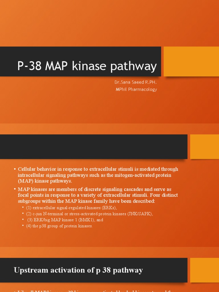 P-38 MAP Kinase Pathway | PDF