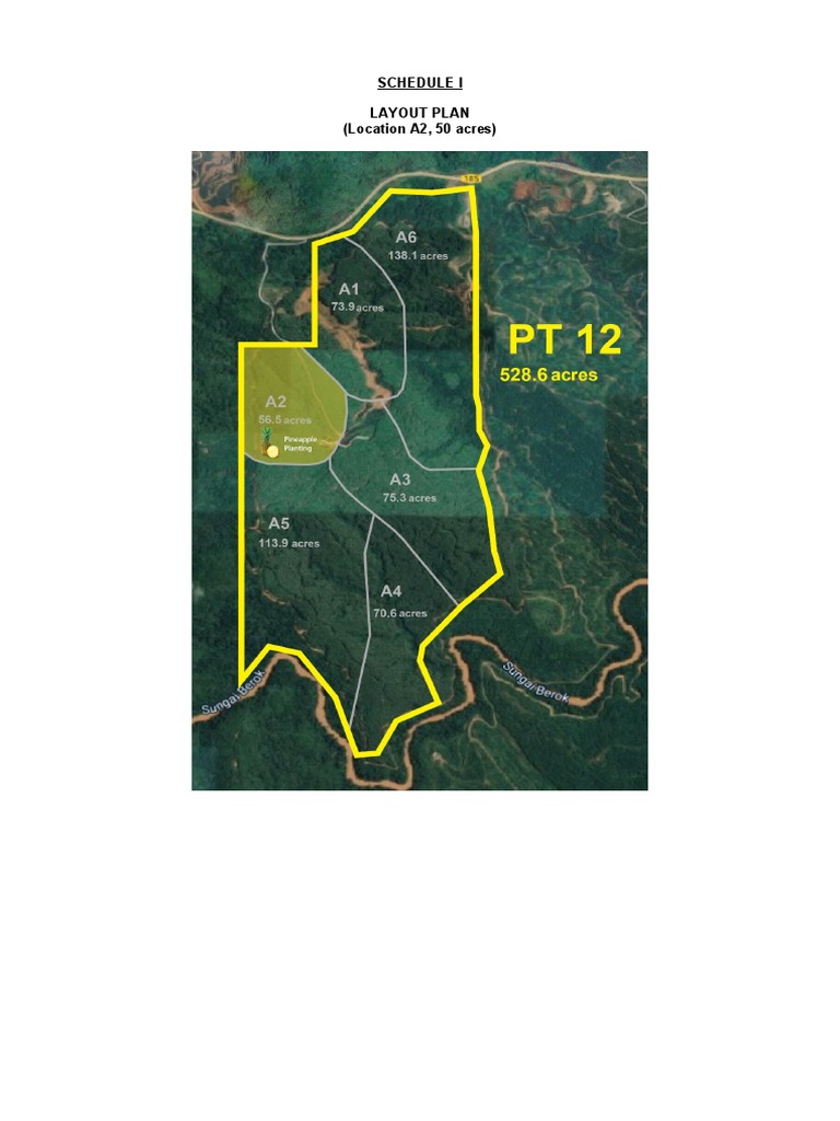 Pineapple Schedule | Download Free PDF | Plantation | Pineapple