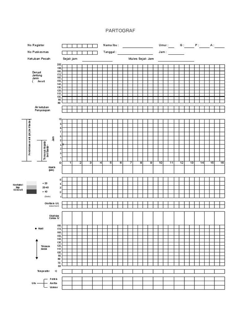 Fdokumen.com Partograf Kosong | PDF