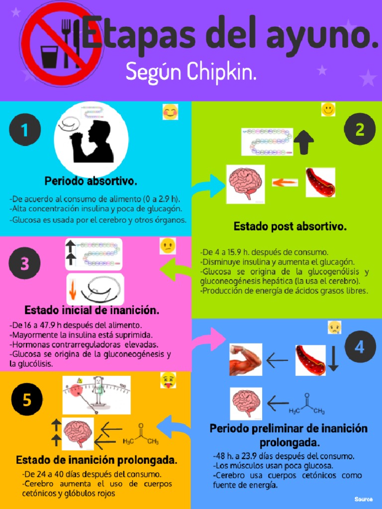 Etapas de Ayuno Según Chipkin | PDF