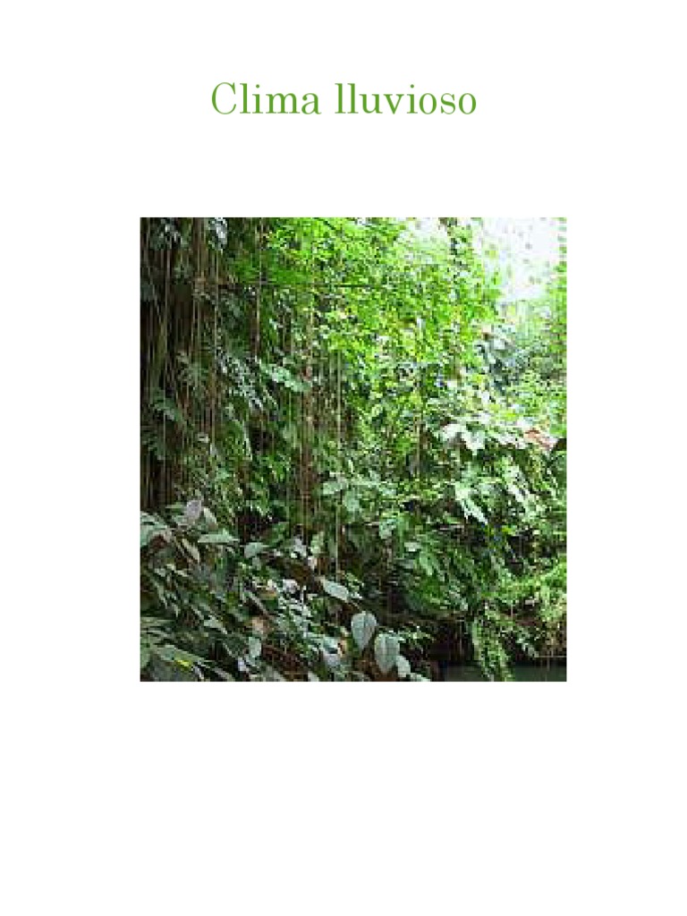 Clima Lluvioso | PDF | Clima templado | Clima