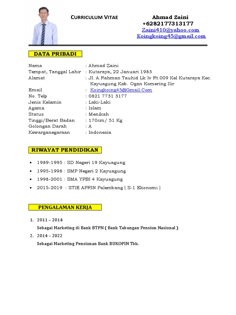 CV Ahmad Zaini | PDF