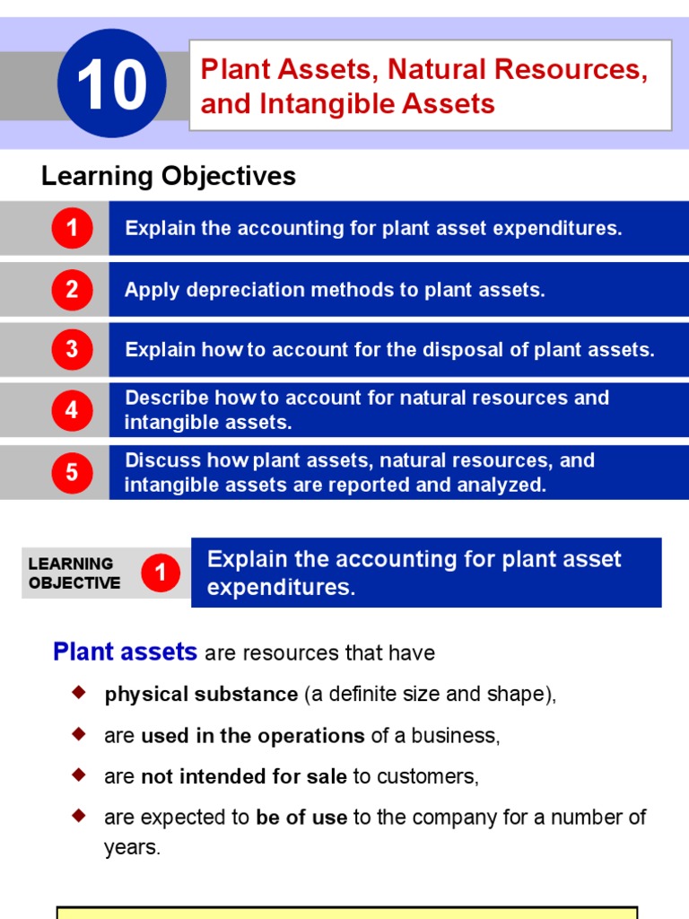 Chapter 10 - Plant Assets, Natural Resources, and Intangible Assets | PDF