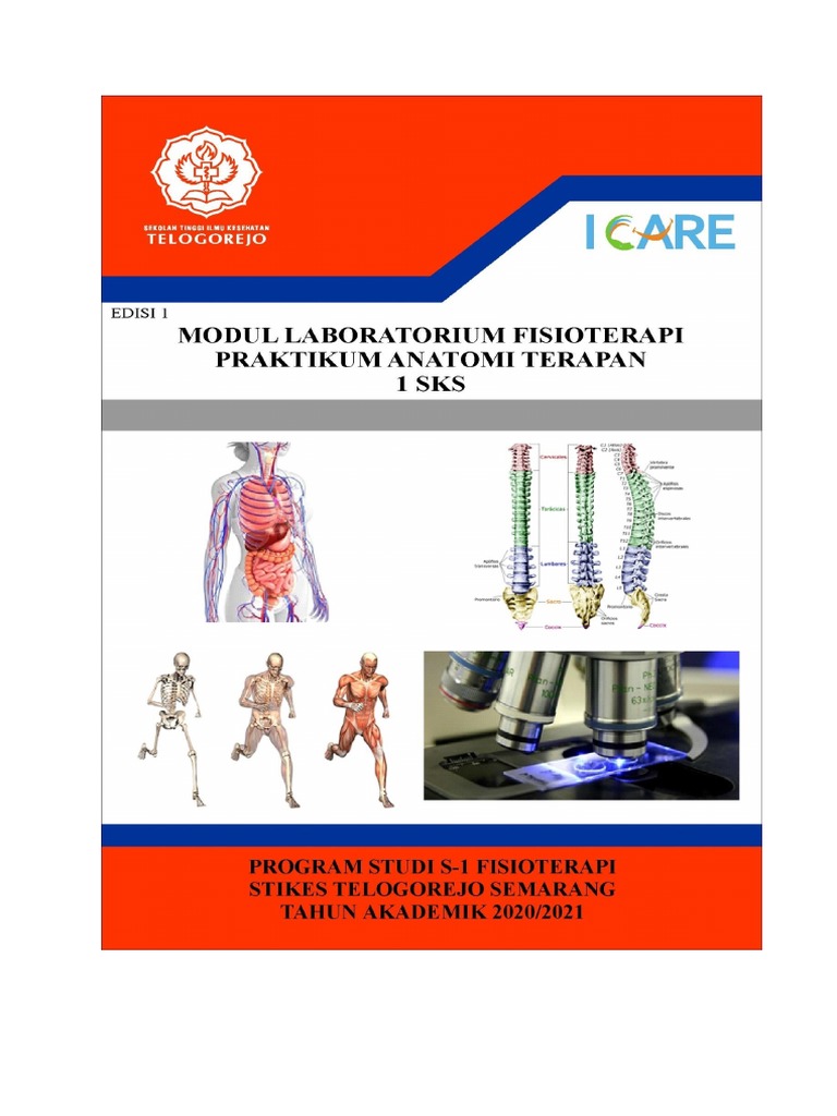 Modul Praktikum Anatomi Terapan | PDF