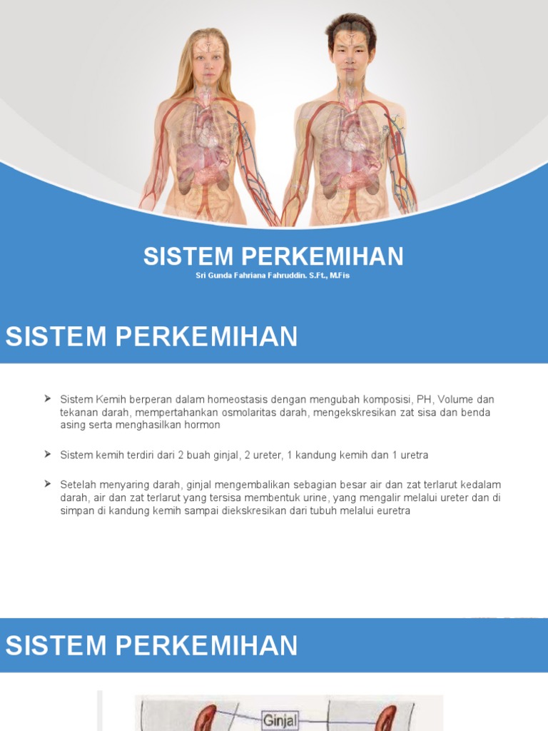 Sistem Perkemihan | PDF