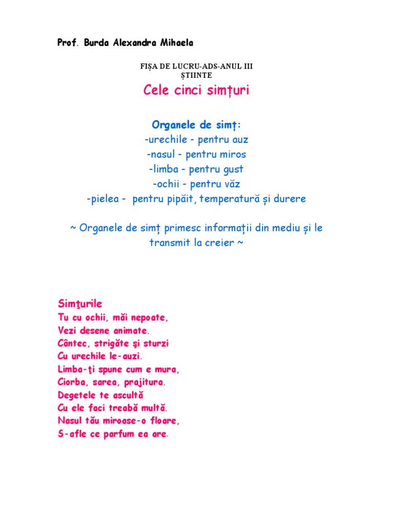 Cele 5 Simturi | PDF