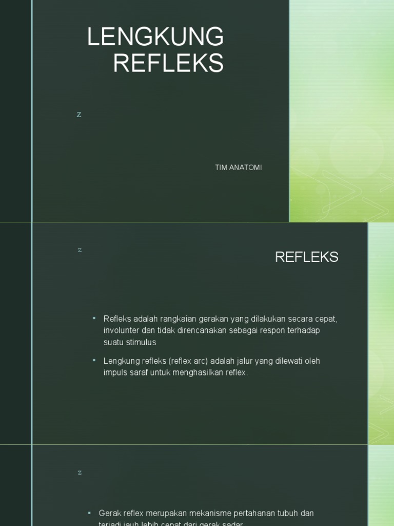REFLEKS | PDF