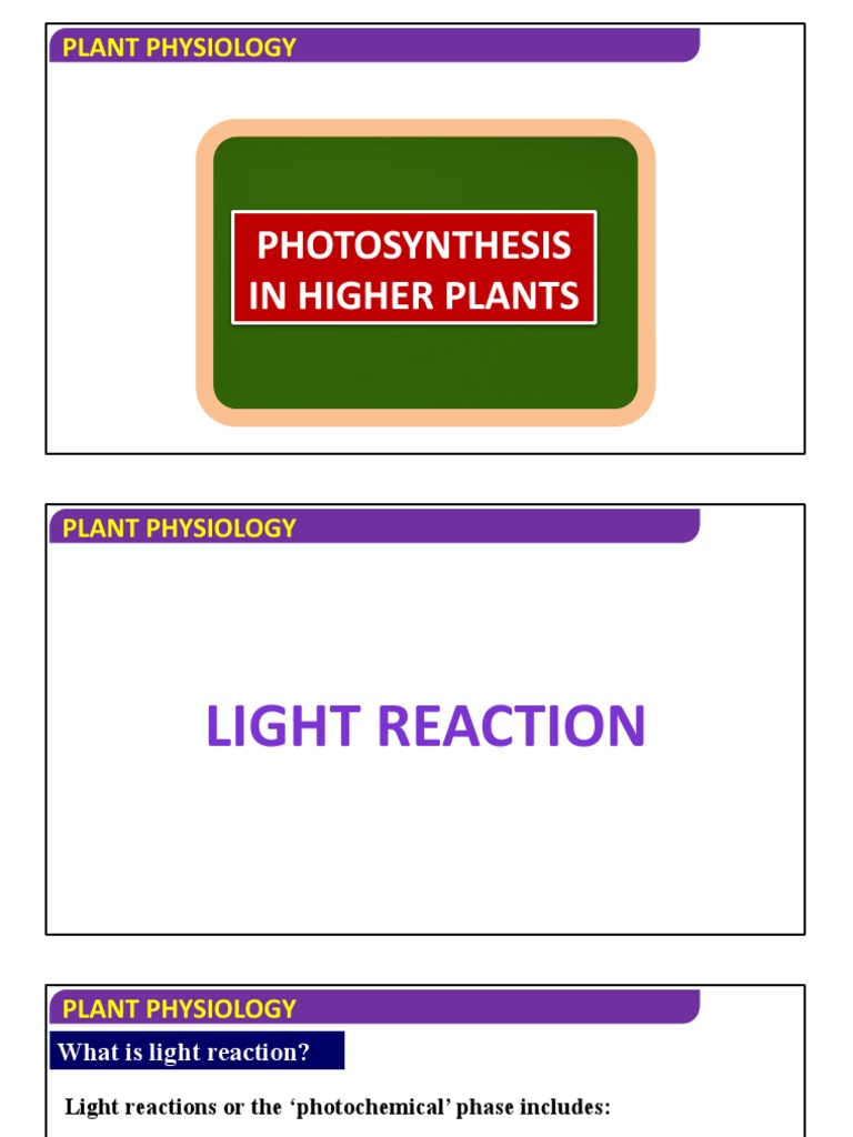 Biology - XI - Photosynthesis in Higher Plants - Light Reaction | PDF