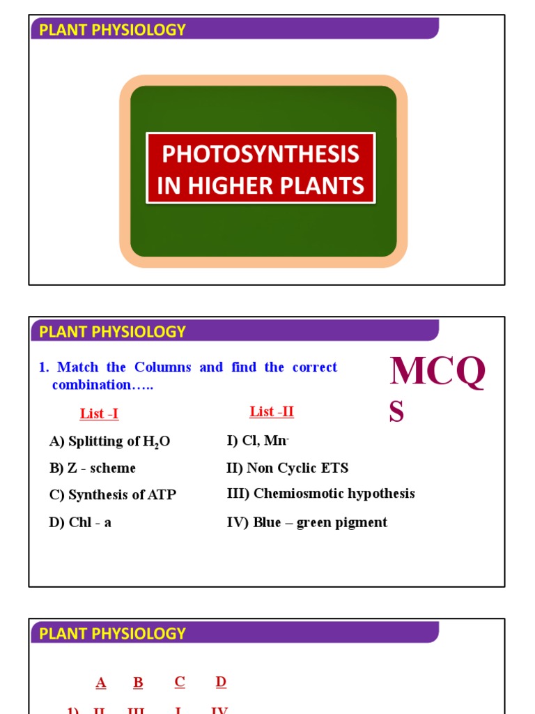 Biology - XI - Photosynthesis in Higher Plants - MCQs 5 | PDF ...
