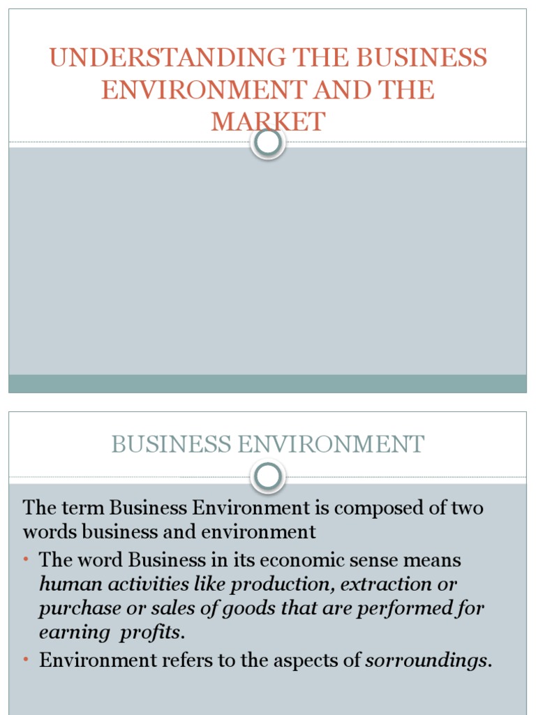 Understanding the Business Environment and the Market | PDF ...