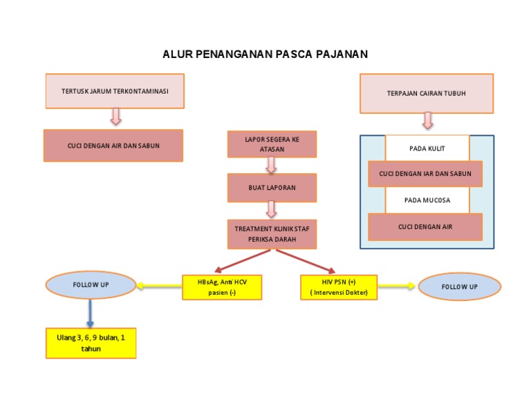 Alur Penanganan Pasca Pajanan | PDF