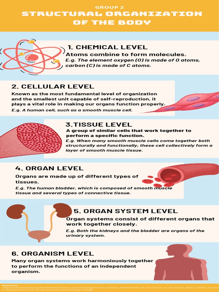 Group 2 Activity 1 Group Discussion | PDF