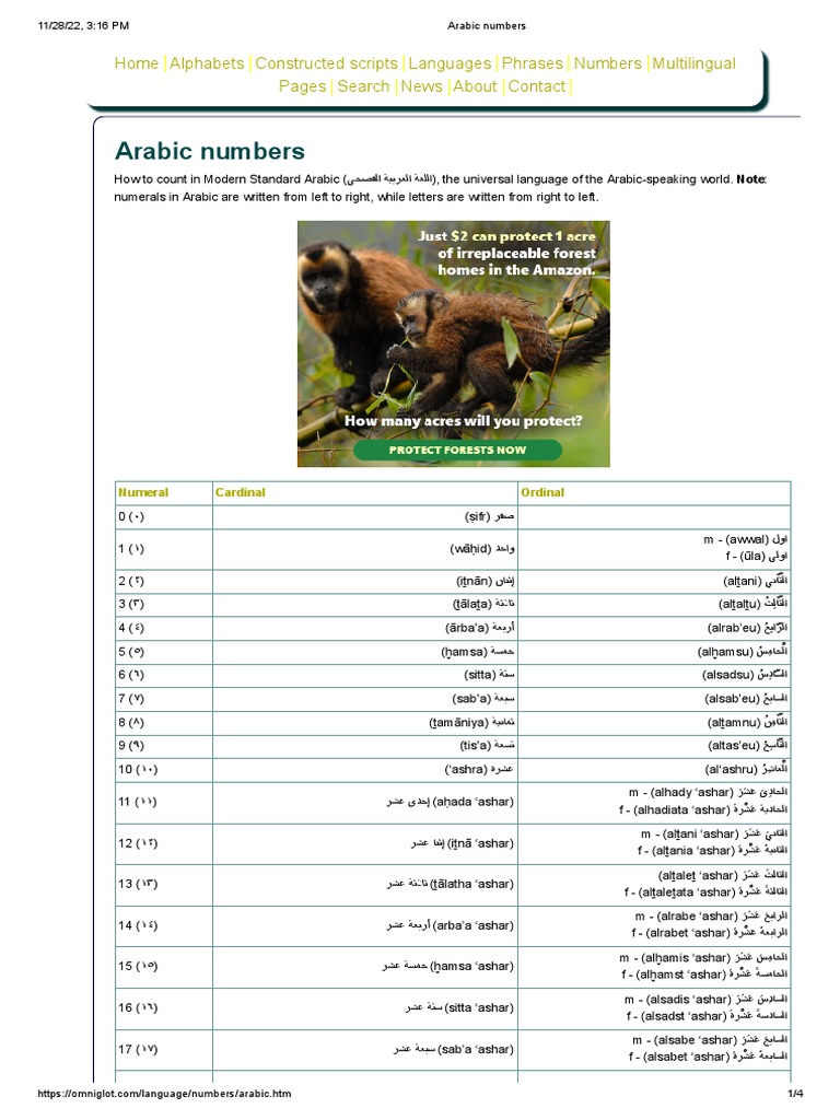 Arabic Numbers | PDF