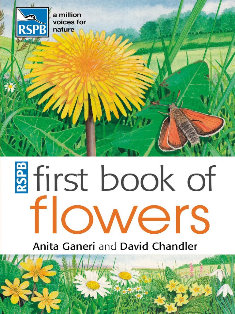 Anita Ganeri - First Book of Flowers | PDF